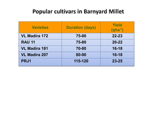 BARNYARD MILLET CULTIVATION PRACTICES IN KORAPUT | PPT