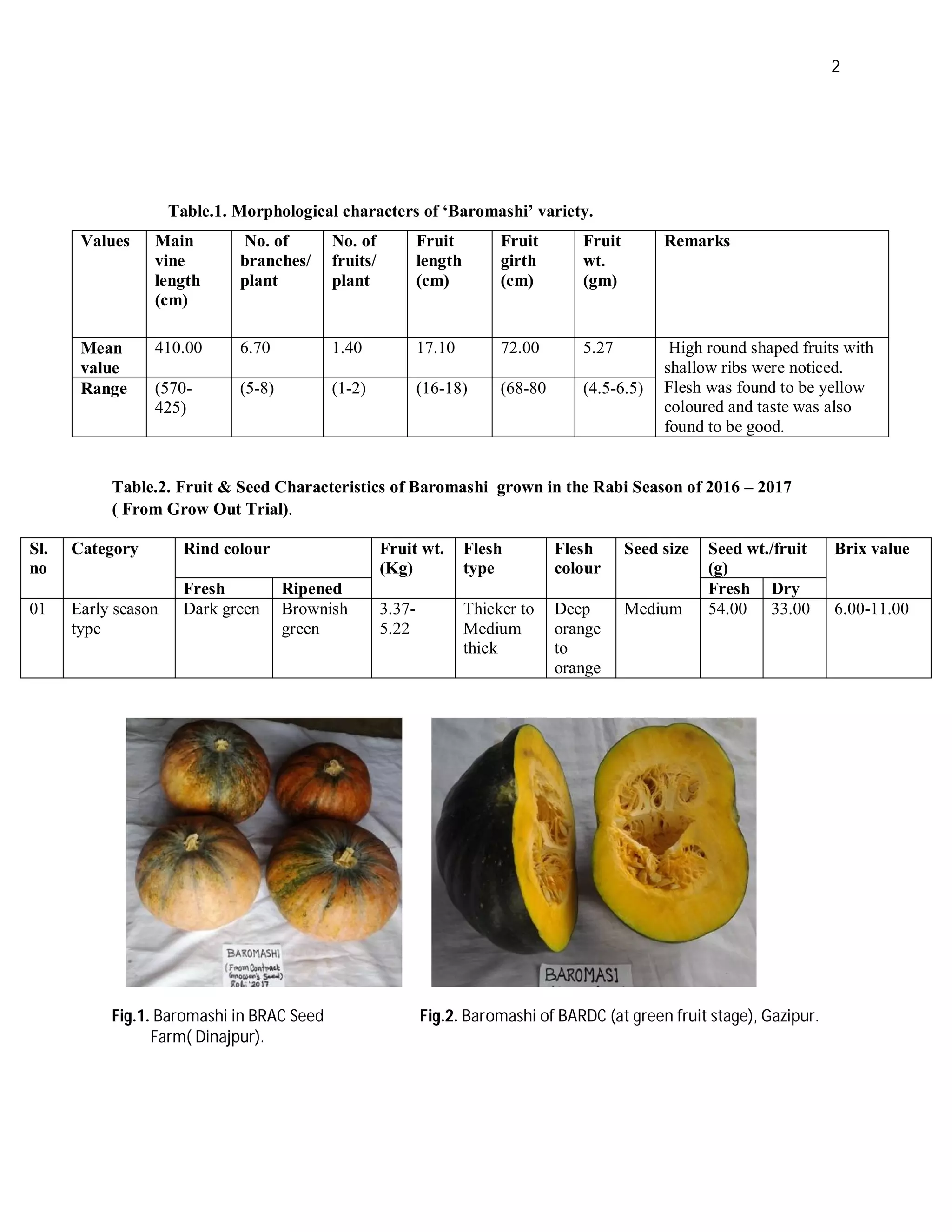'Baromashi' - an excellent pumpkin variety developed by BRAC ...