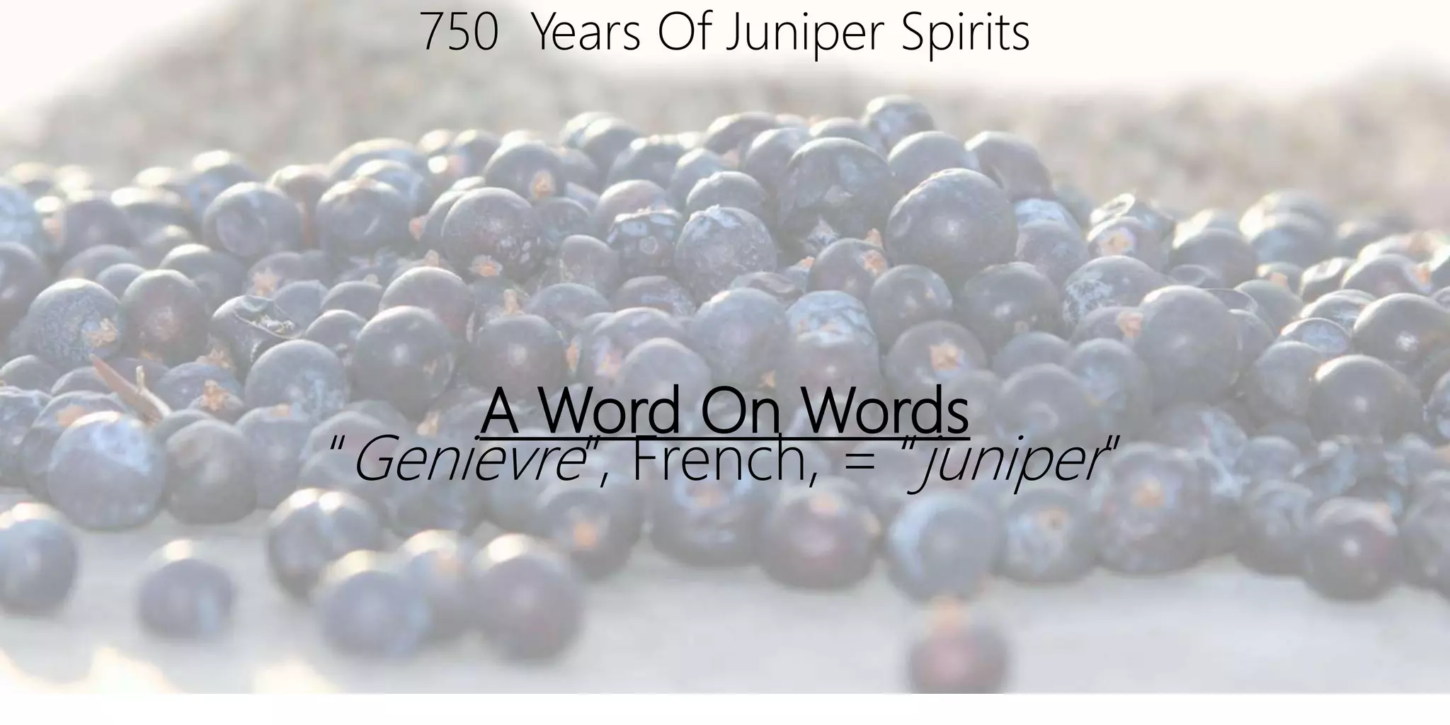 750 Years of Juniper Spirits | PPTX