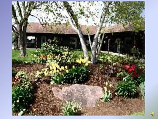 Baron Stiegel Lions Club | PPTX