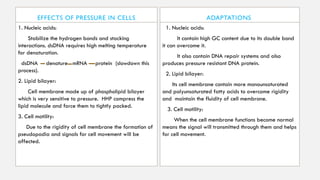 Barophiles or piezophile - (extremophile). pptx | PPTX | Biological ...