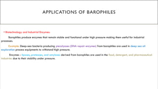 Barophiles or piezophile - (extremophile). pptx | PPTX | Biological ...