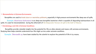 Barophiles or piezophile - (extremophile). pptx | PPTX | Biological ...