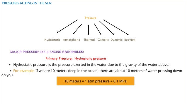 Barophiles or piezophile - (extremophile). pptx | PPTX | Biological ...