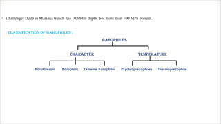 Barophiles or piezophile - (extremophile). pptx | PPTX | Biological ...
