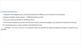 Barophiles or piezophile - (extremophile). pptx | PPTX | Biological ...