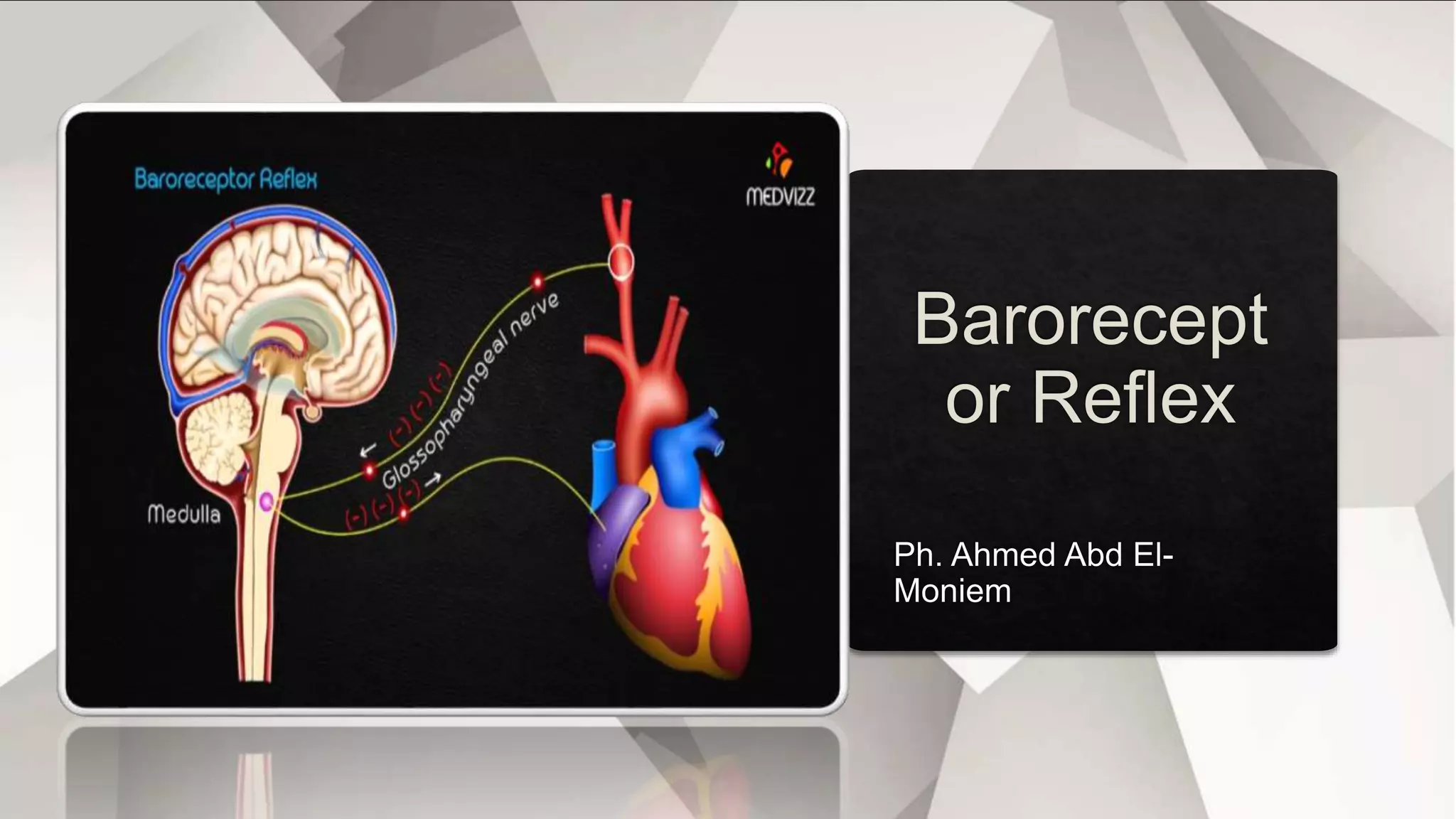Baroreceptor Reflex Mechanism | PPTX