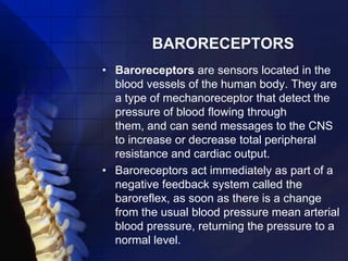 What is a baroreceptor store