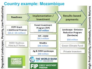 Forest Carbon Partnership Facility & BioCarbon Fund | PDF