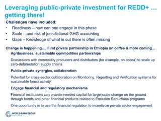 Forest Carbon Partnership Facility & BioCarbon Fund | PDF