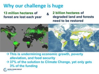 Forest Carbon Partnership Facility & BioCarbon Fund | PDF