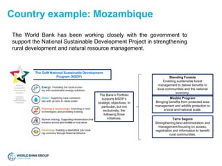 Forest Carbon Partnership Facility & BioCarbon Fund | PDF