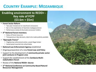 Forest Carbon Partnership Facility & BioCarbon Fund | PDF