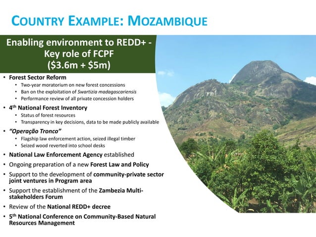 Forest Carbon Partnership Facility & BioCarbon Fund | PDF