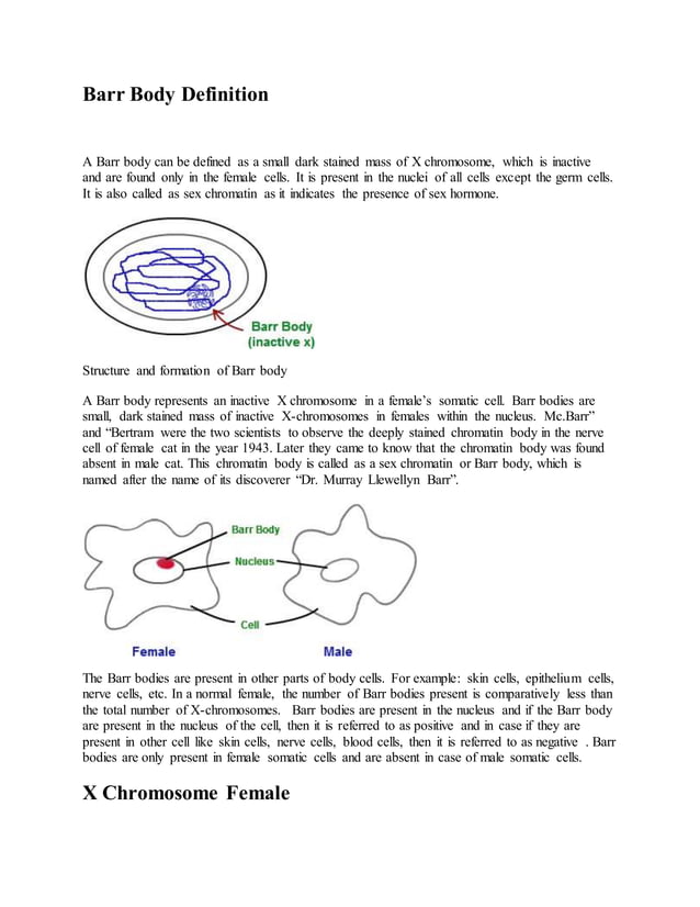 Barr body | DOCX