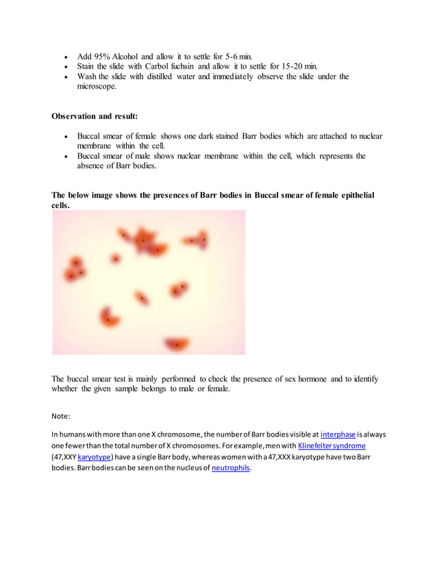 Barr body | DOCX