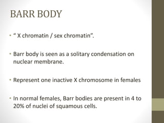 BARR BODY.pptx