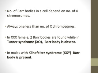 BARR BODY.pptx