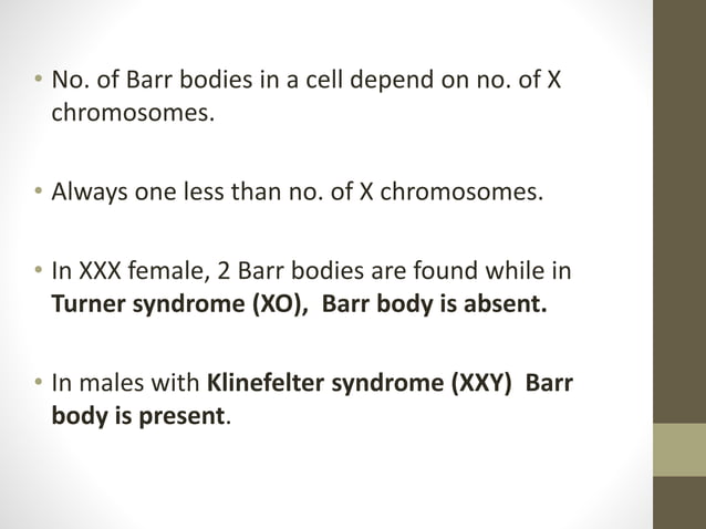BARR BODY.pptx | Genetics | Science