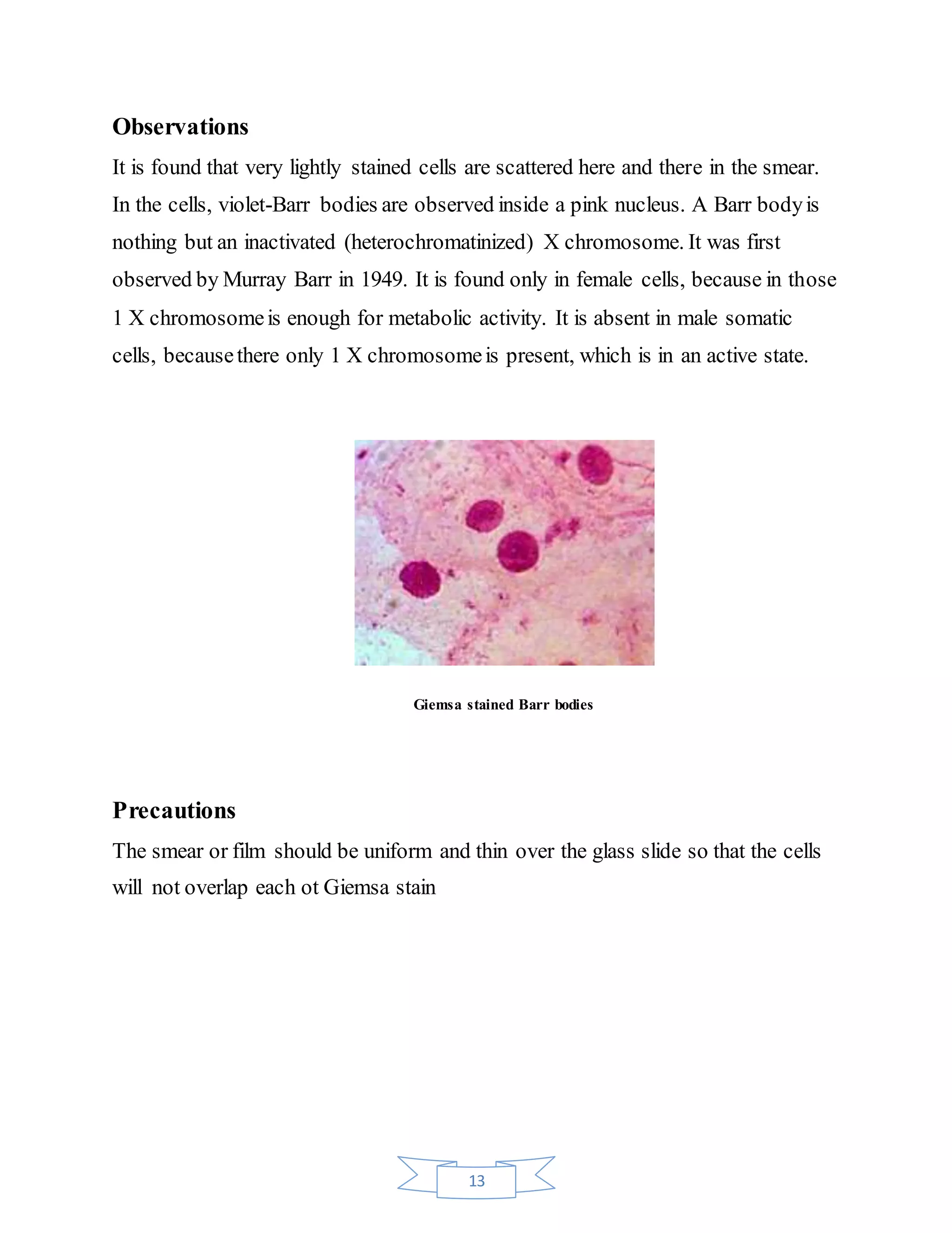 Barr Body Staining | DOCX