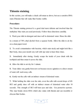 Barr Body Staining | DOCX