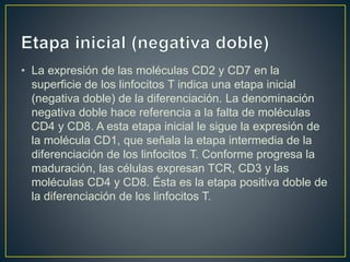 Barrera hemato-timica y educación de linfocitos T.pptx