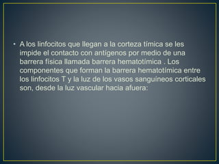Barrera hemato-timica y educación de linfocitos T.pptx
