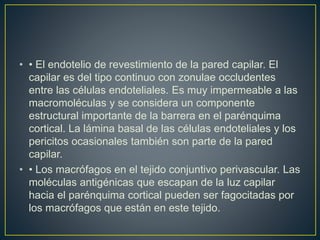 Barrera hemato-timica y educación de linfocitos T.pptx