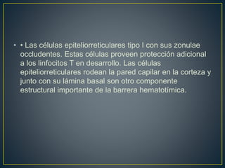 Barrera hemato-timica y educación de linfocitos T.pptx