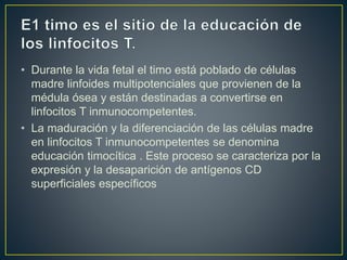 Barrera hemato-timica y educación de linfocitos T.pptx