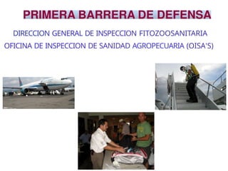 BARRERAS DE DEFENSA EN SANIDAD ANIMAL.pptx