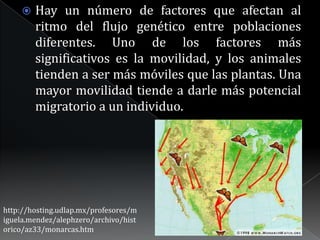 Flujo genético | PPTX