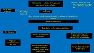 Esófago de Barret | PPTX