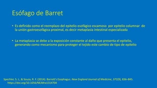 Esófago de Barret | PPT