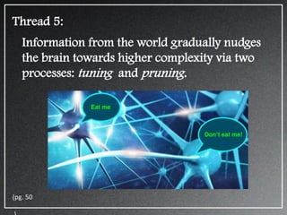 Lisa Feldman-Barrett's 7 and one -half Lessons About the Brain | PDF