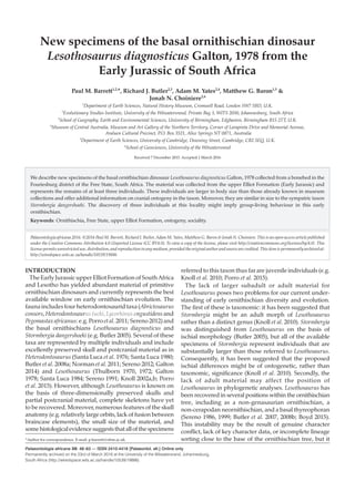 Barrett et al 2016 Fouriesburg Lesothosaurus.pdf