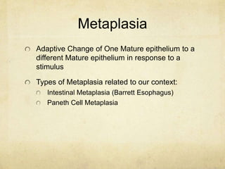 Barrett oesophagus journal club pathology | PPTX
