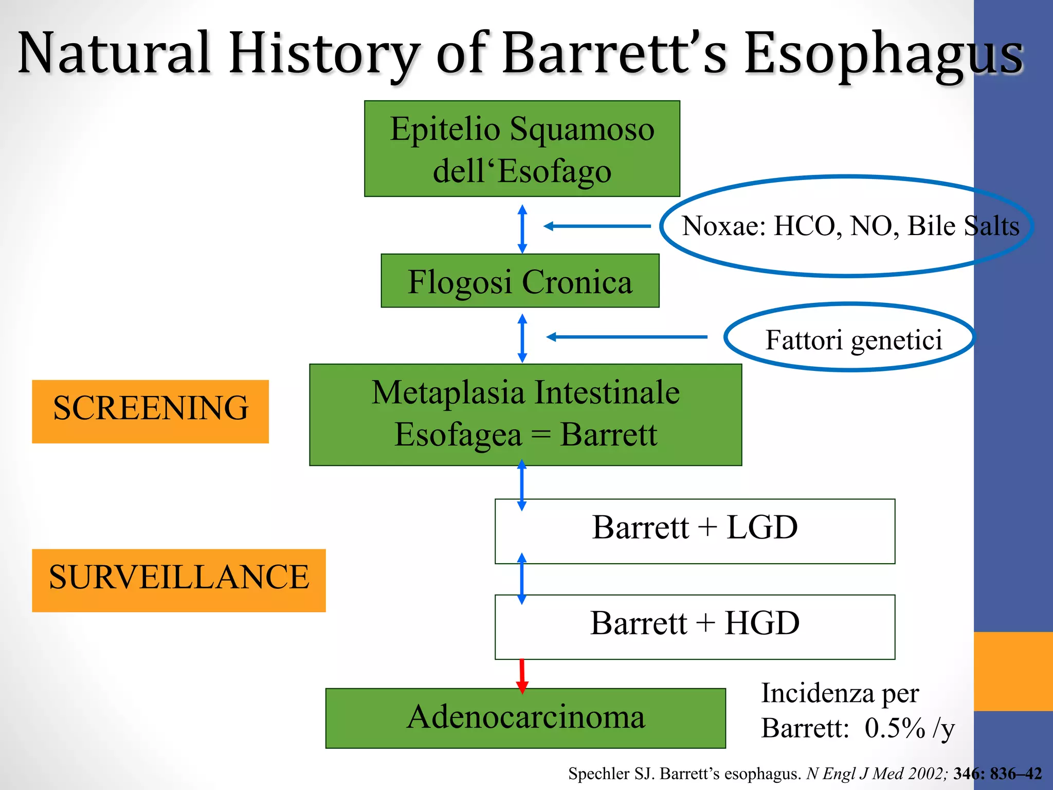 Dall'esofago di Barrett all'adenocarcinoma: fisiopatologia e diagnosi ...