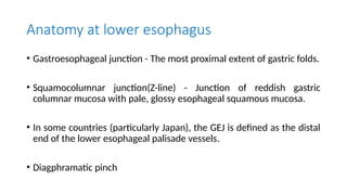 Barretts Esophagus -Diagnosis & management .pptx