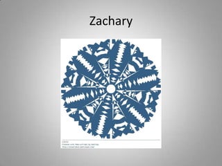 Barrett Snowflake Bentley | PPTX