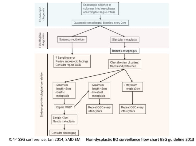Barrett’s surveillance and early management of ca oesophagus | PPTX ...