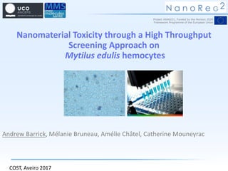 Barrick Cost Aveiro.pdf