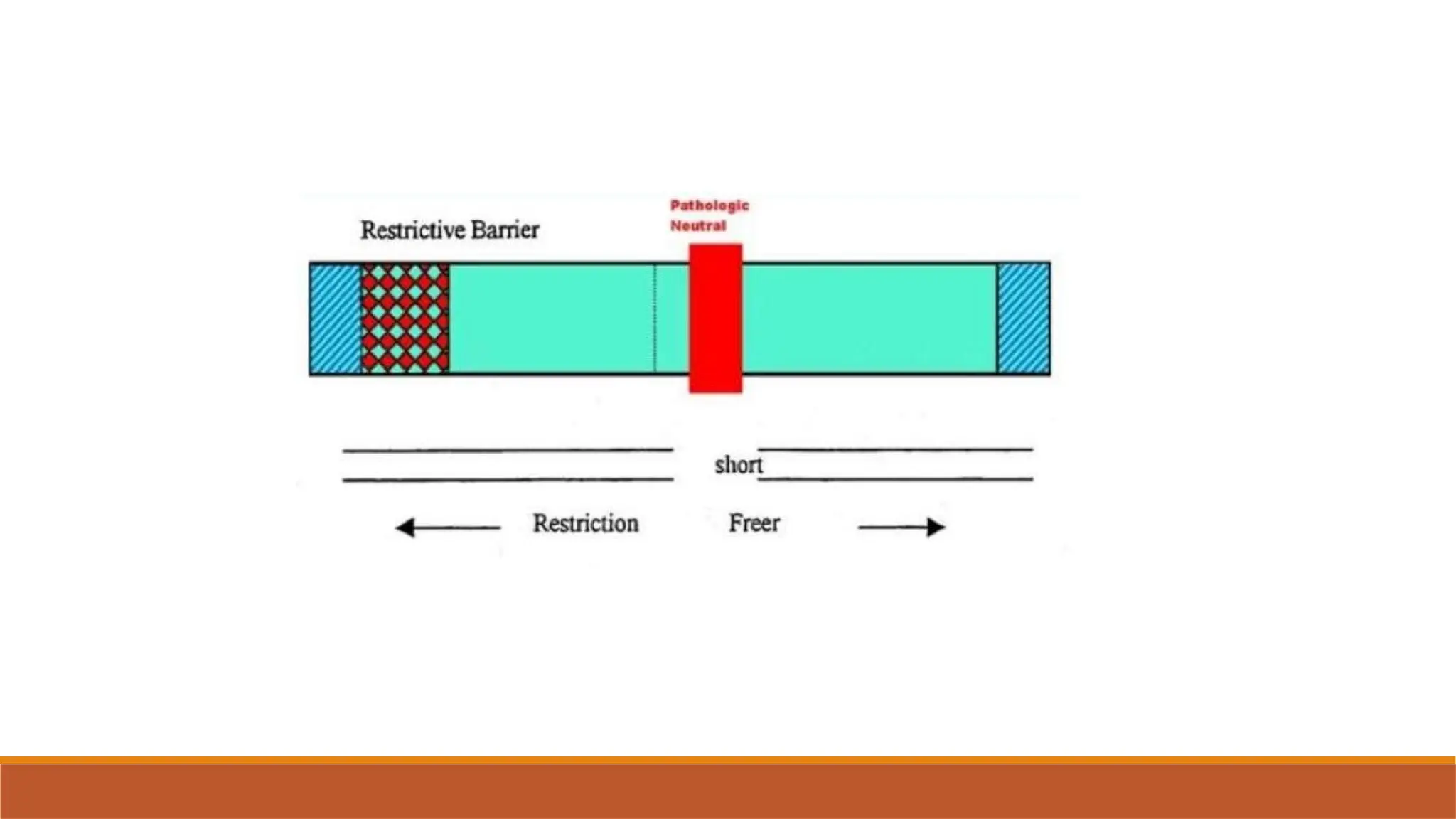 BARRIER CONCEPTS IN MANUAL THERAPY..pptx