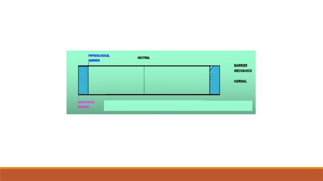 BARRIER CONCEPTS IN MANUAL THERAPY..pptx