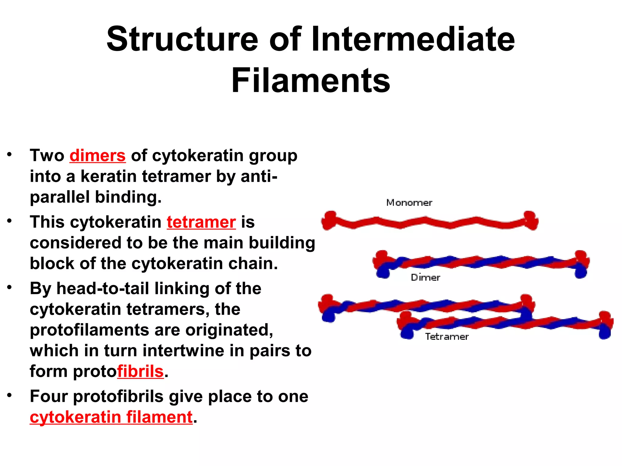 Barrier function & biomechanical properties of the skin | PPT