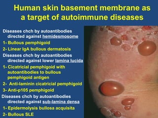 Barrier function & biomechanical properties of the skin | PPT