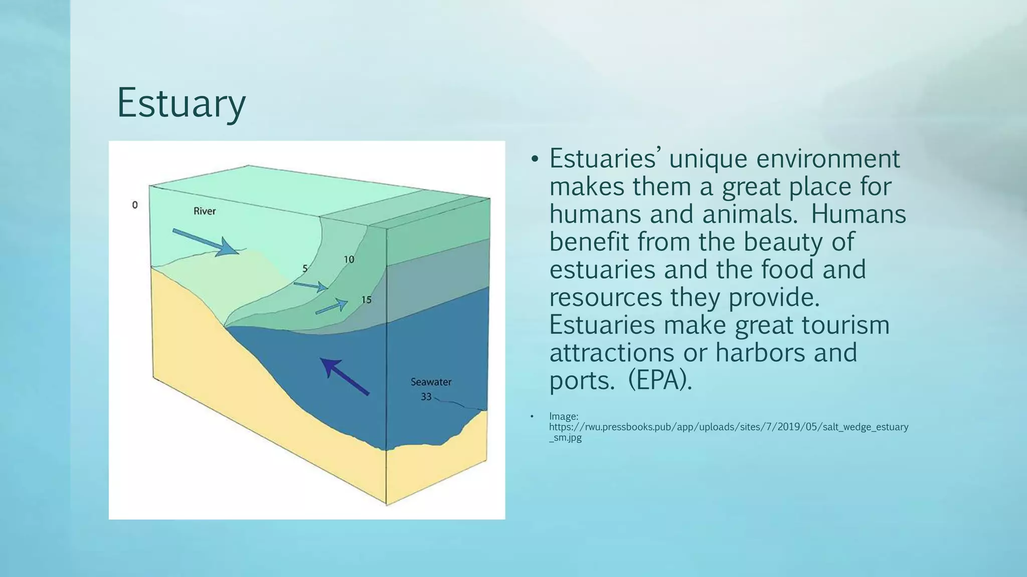 Barrier islands and estuaries | PPTX