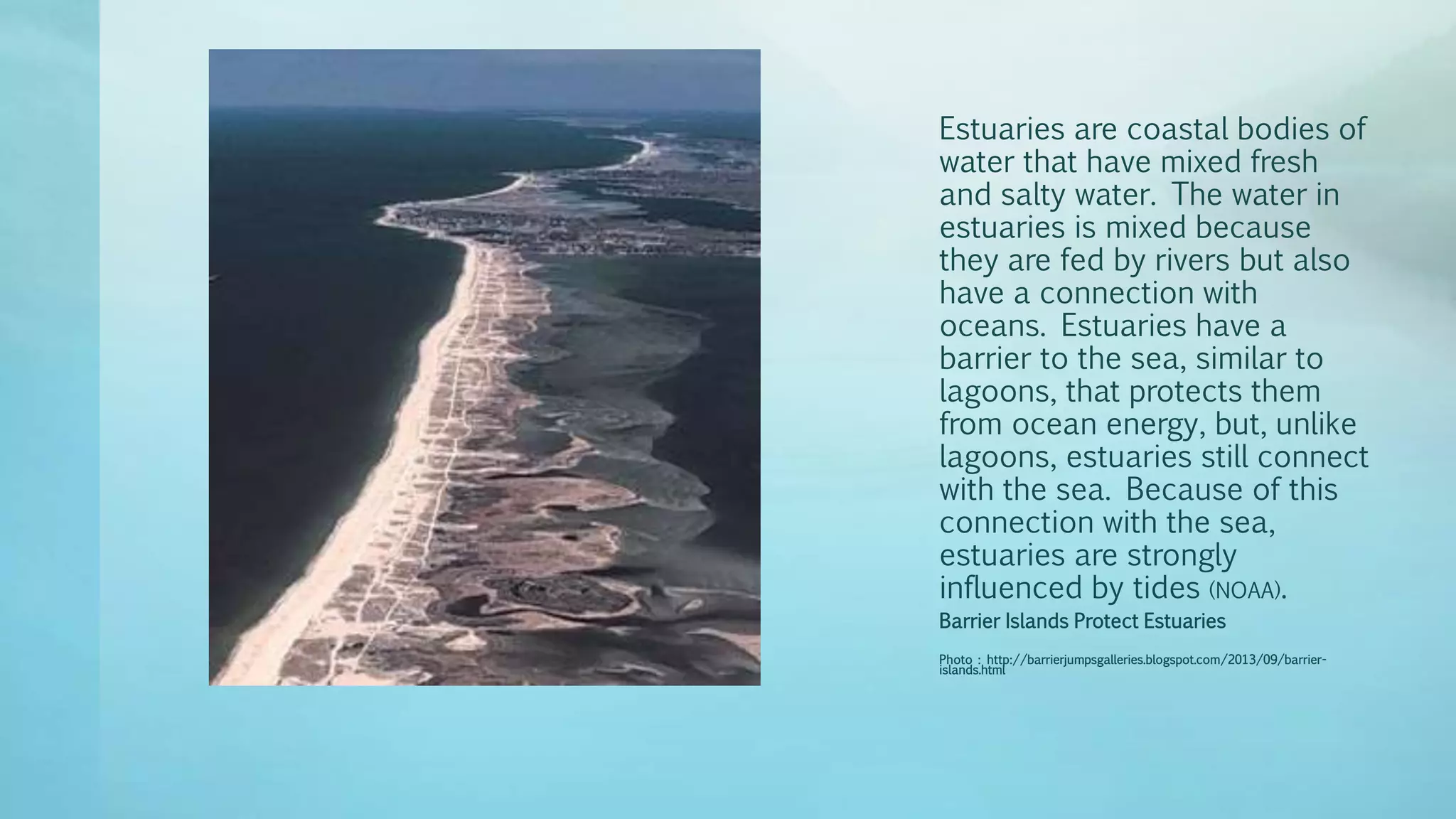 Barrier islands and estuaries | PPTX