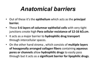 Barrier of drugs permeation through ocular route by Sushil Kumar Singh ...