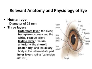 Barrier of drugs permeation through ocular route by Sushil Kumar Singh ...